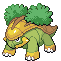 Grotle | Pokémon Wiki | Fandom