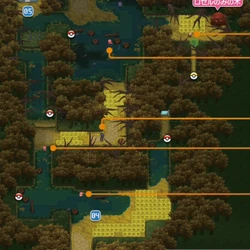 Kalos Route 16