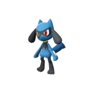 Riolu | Pokémon Wiki | Fandom