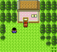 Route 29 | Pokémon Wiki | Fandom