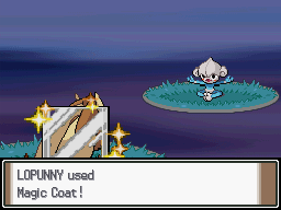 Magic Coat | Pokémon Wiki | Fandom