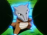 Focus Energy | Pokémon Wiki | Fandom