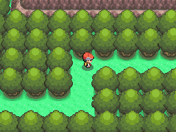 Spring Path | Pokémon Wiki | Fandom