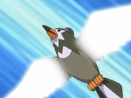 Wing Attack | Pokémon Wiki | Fandom