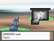 Feint | Pokémon Wiki | Fandom