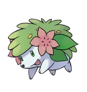 Shaymin | Pokémon Wiki | Fandom