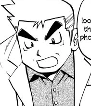 Pokemon Professor Oak Battle