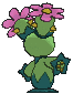 Maractus | Pokémon Wiki | Fandom