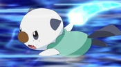 Ash's Oshawott | Pokémon Wiki | Fandom