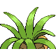 Exeggutor | Pokémon Wiki | Fandom