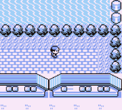 Cerulean City | Pokémon Wiki | Fandom