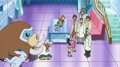 Shinko | Pokémon Wiki | Fandom