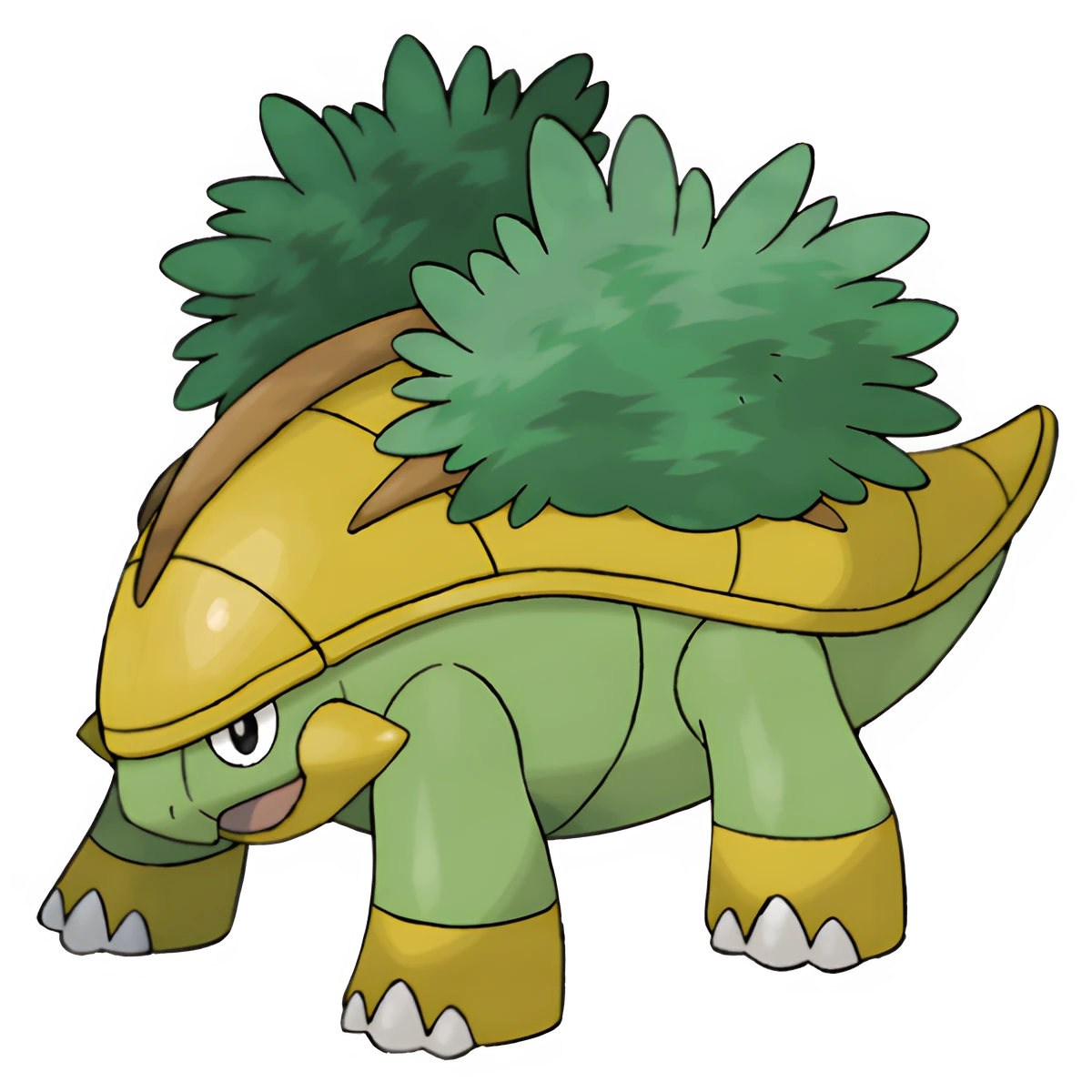 Grotle | Pokémon Wiki | Fandom