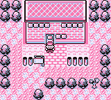 Fuchsia City | Pokémon Wiki | Fandom
