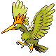 Fearow | Pokémon Wiki | Fandom