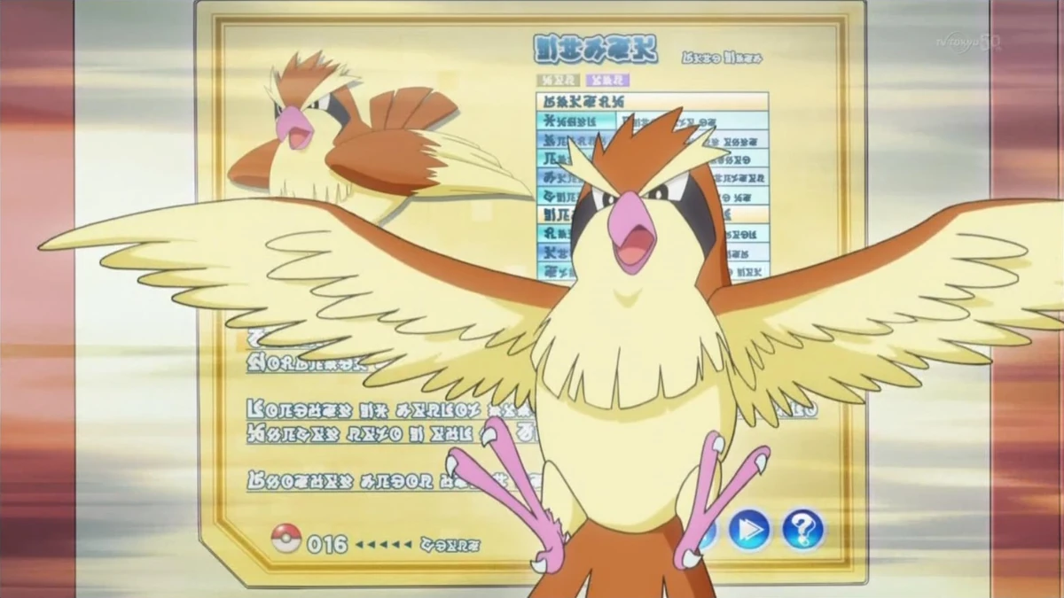 Red's Pidgey | Pokémon Wiki | Fandom