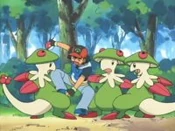 A Shroomish Skirmish | Pokémon Wiki | Fandom