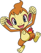 Chimchar | Pokémon Wiki | Fandom