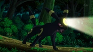 Flash | Pokémon Wiki | Fandom