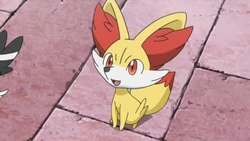Lewis Fennekin | Pokemon004 Wiki | Fandom