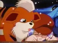 Growlie | Pokemon Anime Remakes Wiki | Fandom