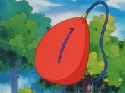 Bag | Pokemon Anime Remakes Wiki | Fandom