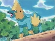 310 Manectric | Pokemon Crater Wiki | Fandom