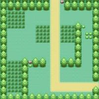 Route 9 | Pokemon Crater Wiki | Fandom