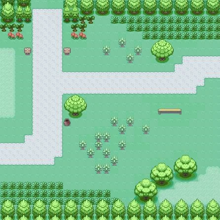 Broags Garden Entrance | Pokemon Crater Wiki | Fandom