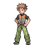 Brock | Pokémon Crimson Dusk & Cobalt Dawn Wiki | Fandom