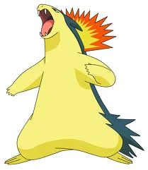 Typhlosion | Pokemon Crowd-Sourced Metagame Wiki | Fandom
