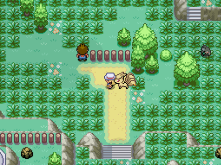 Route 2 | Pokemon Dark Voyage Wiki | Fandom
