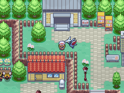 Shien Village | Pokemon Dark Voyage Wiki | Fandom