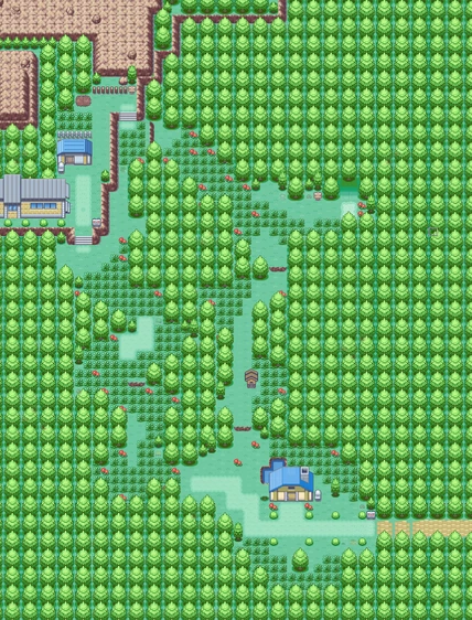 Route 1 | Pokemon Dark Voyage Wiki | Fandom
