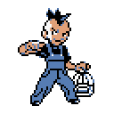 Trainer classes | Pokémon Desko Wiki | Fandom