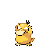 Psykokwak | Wiki PokemonDestination | Fandom