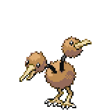 Doduo | Wiki PokemonDestination | Fandom