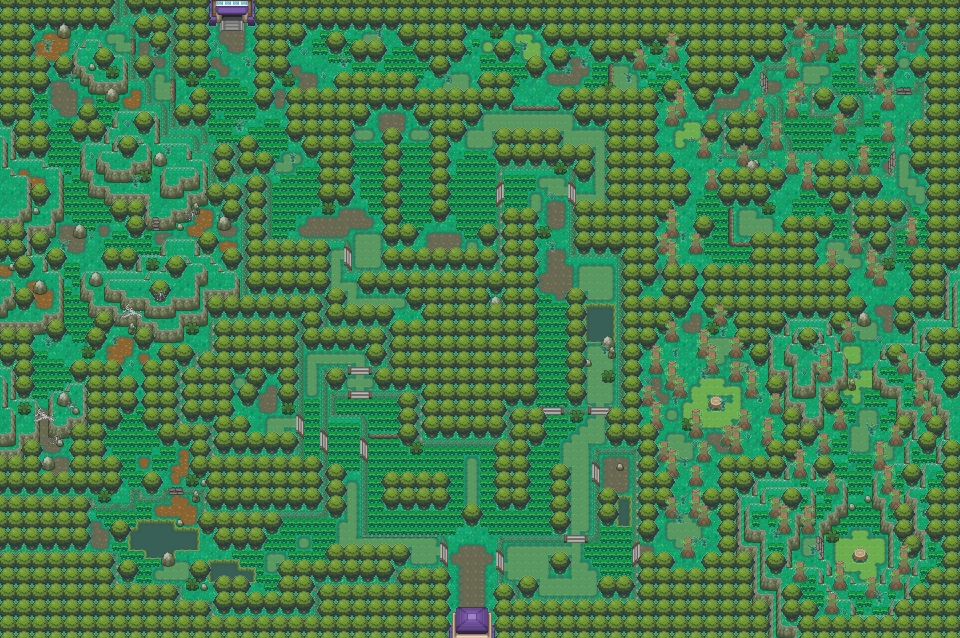 Forêt de Jade | Wiki PokemonDestination | Fandom
