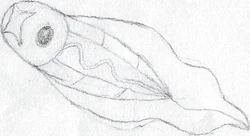 Tynamo (Pokémon) | Pokémon Earth & Sky Wiki | Fandom