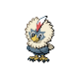 Rufflet Evolution Chart