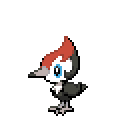 Pikipek | Pokémon Empyrean Wiki | Fandom