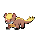 Yungoos | Pokémon Empyrean Wiki | Fandom