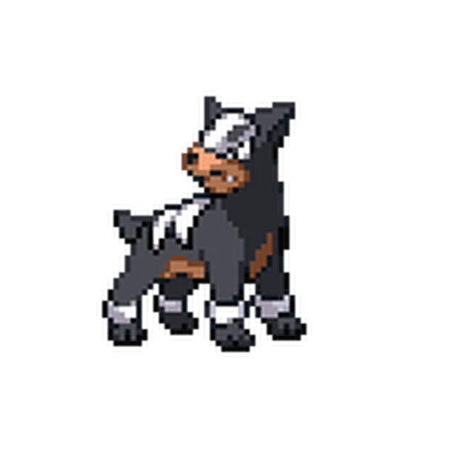 Houndour Evolution Chart