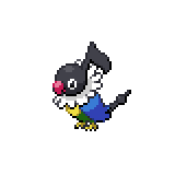 Chatot | Pokémon Empyrean Wiki | Fandom