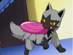 Basil Jackson | Pokemon-Erfindung Wiki | Fandom