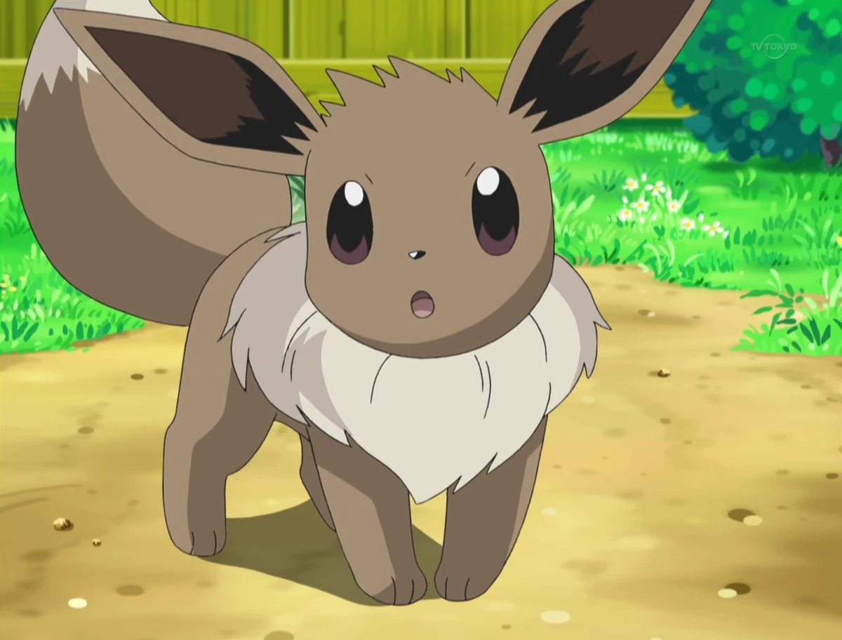 Ace | Pokemon-Erfindung Wiki | Fandom