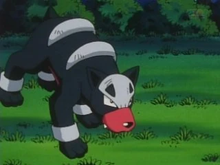 Damon | Pokemon-Erfindung Wiki | Fandom