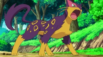 Tatjanas Kleoparda | Pokemon-Erfindung Wiki | Fandom