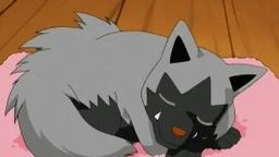 Nightshade | Pokemon-Erfindung Wiki | Fandom