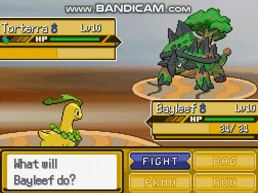 Rock Shards | PokemonEternal Wiki | Fandom